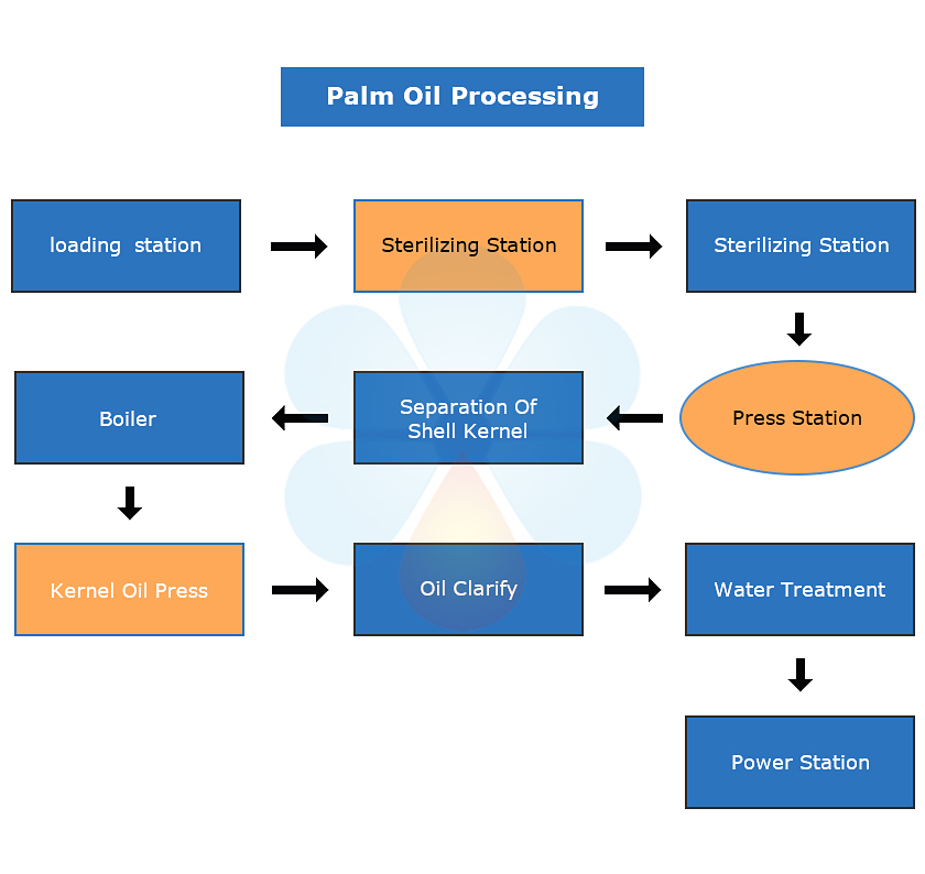 Set Up Palm Oil Plant Solution_Huatai Cereals and Oils Machinery